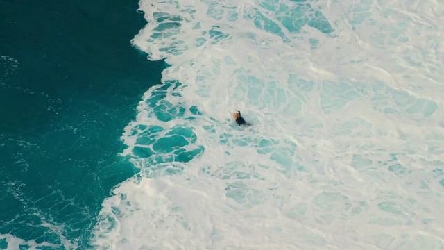 test_video_720