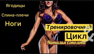 Цикл тренировок