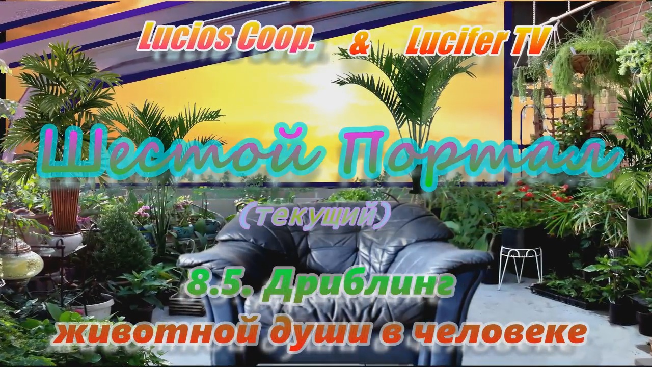 «Шестой Портал (текущий)» 8.5. Дриблинг животной души в человеке