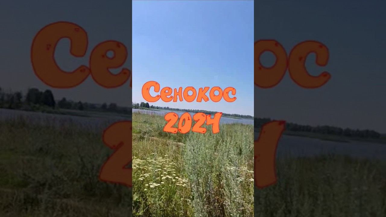 Сенокос-2024 #shorts #shortvideo #сенокос #трактор #лето #деревня #пейзаж #природа #башкортостан