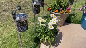 Front Yard Garden Tour In June 2021