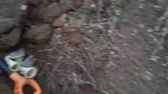 Пробный выход с металлоискателем возле дома. Открытия весеннего сезона  2022.