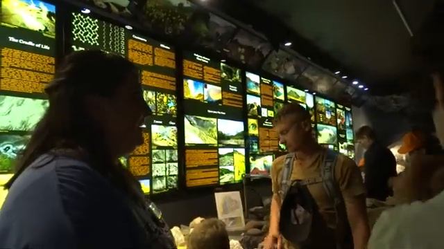 Вулканариум. Петропавловск-Камчатский..mp4