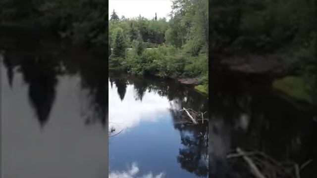 Adventures on Round Lake, Ontario- Mishewah, Bonnechere River, Family Camping DJI Mavic Mini #Short