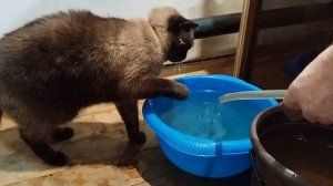Семён помогает менять воду в аквариуме)