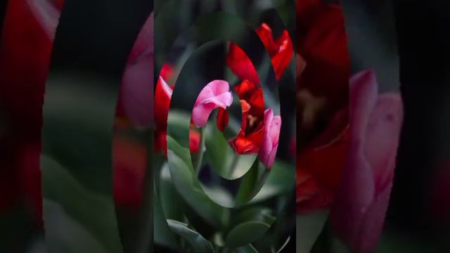 С добрым утром!