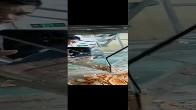 Проверка мультиголочного дозатора. Фасовка чипсов.