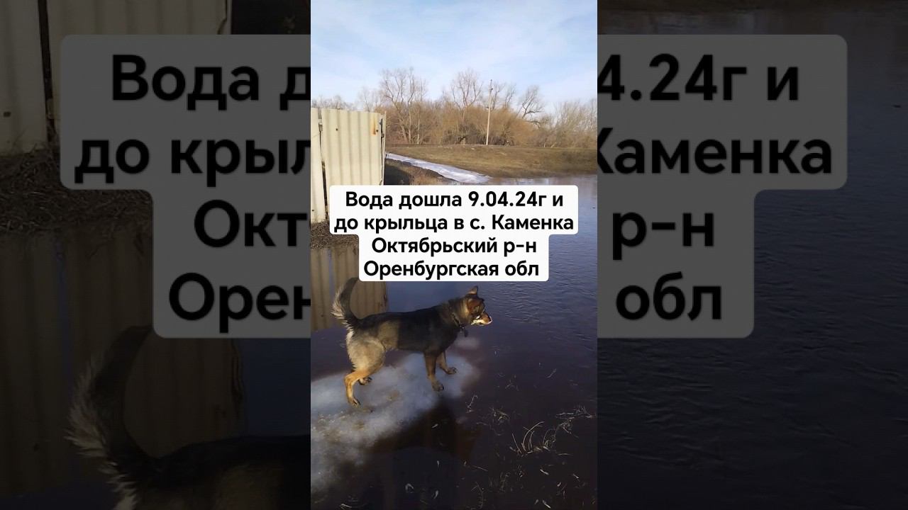 Вода подошла и к нам 9 апреля 2024 г.