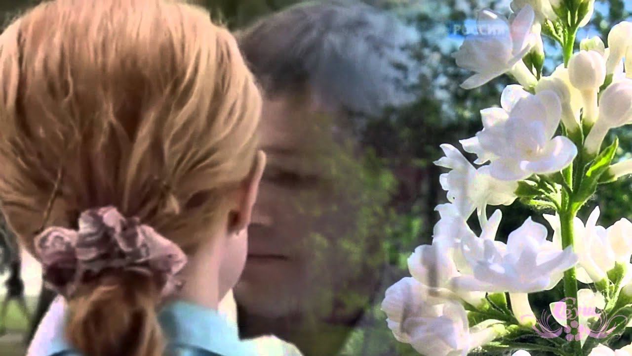 Одинокая ветка сирени  В  Залкин