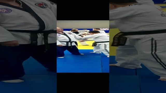 17  защита от захвата рукав предплечья