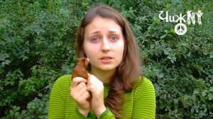 C днем рождения медвежонок.