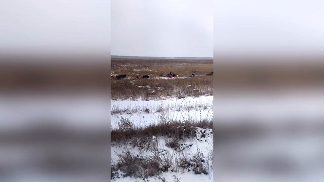 «Засада» (26.11.2022г.) - Военно-полевой выход