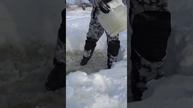 Карась замор на озере.