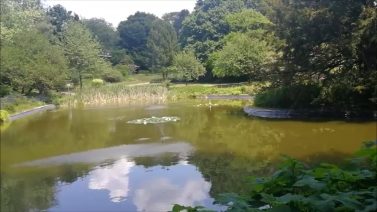 озёра разные-разнообразные