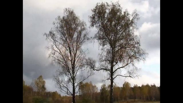 Ты приснись мне... (На стихи  Геннадия Амелина.)