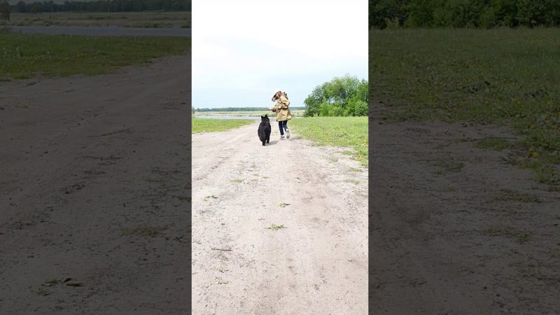 Фронты
