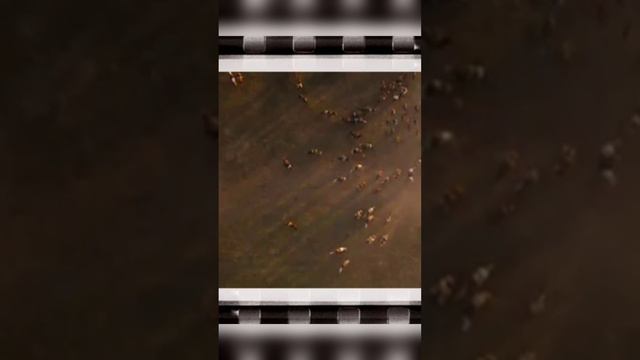 Первая встреча русских с половцами Предполагаемый отец Тугарина Змея