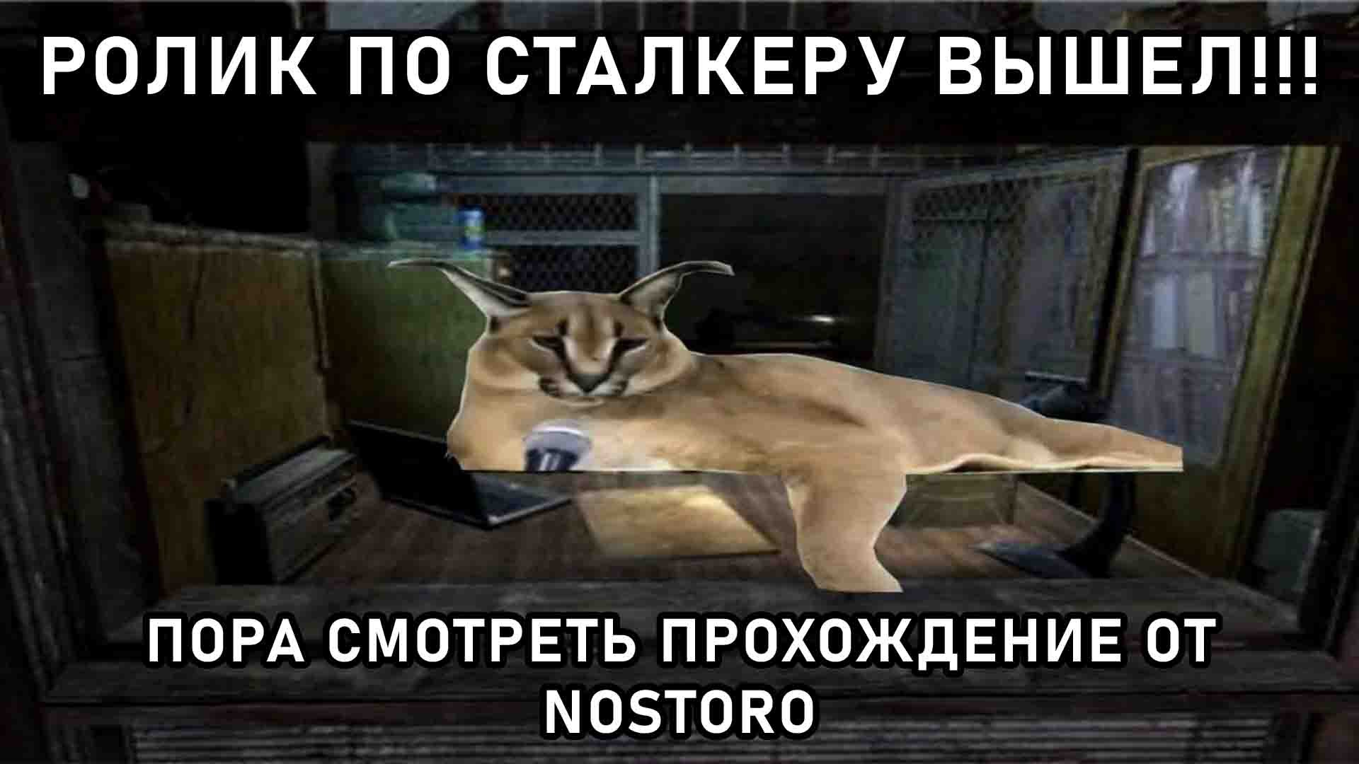 NOSTORO ПРОХОДИТ СТАЛКЕР АНОМАЛИИ нашел секретный лаз в трубе (часть 6) | Nostoro нарезки Егора