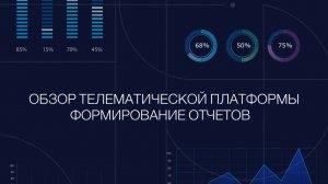Формирование отчета внутри системы телематики SKYLON