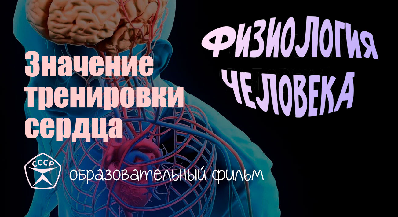 Значение тренировки сердца.avi