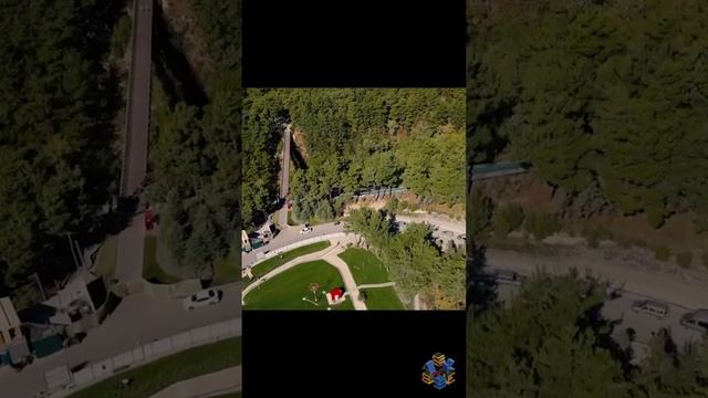 Алексей и его команда