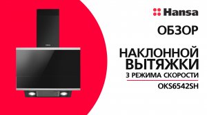 Наклонная вытяжка Hansa OKS6542SH