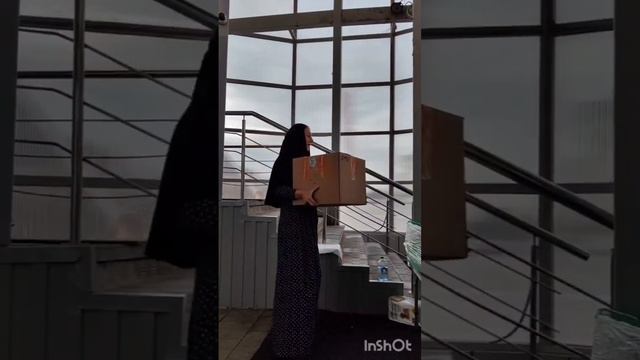 Два котёнка несут счастье в дом. Кошки Задонского монастыря.