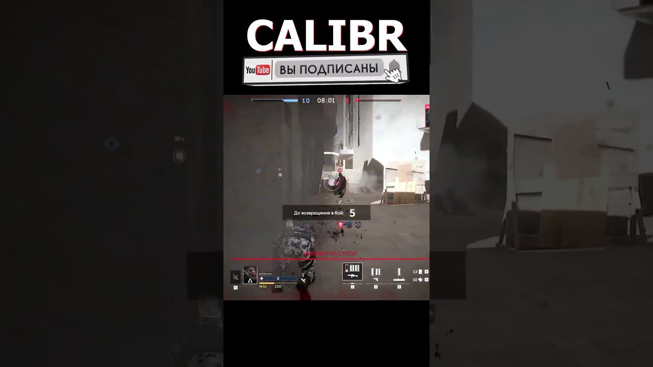 Новичок CALIBR №2 #Shorts #calibr #Dimas LK