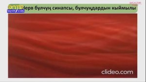 8-класс | Биология | Булчуңдун түзүлүшү жана кызматы