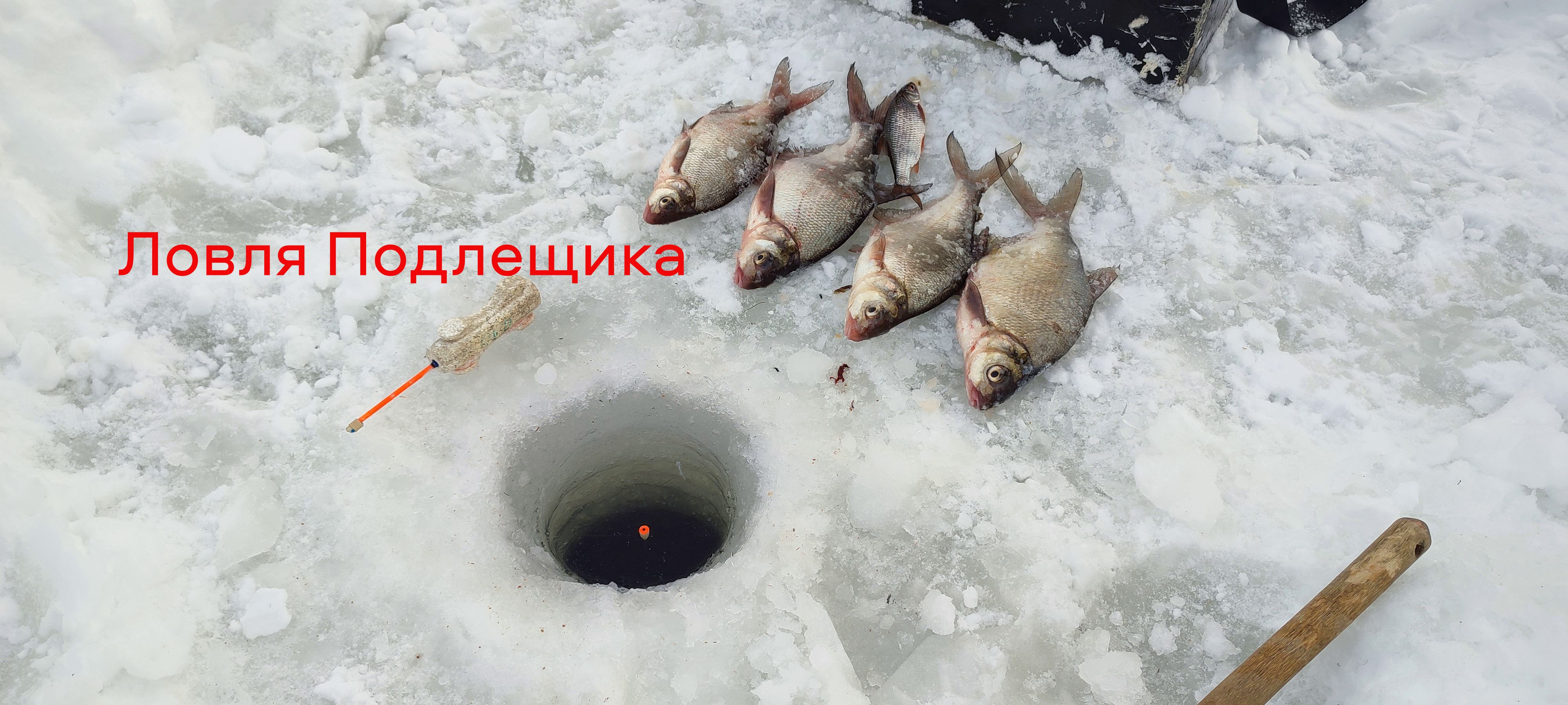 Ловля Подлещиков. Открываю Сезон Охоты На Леща