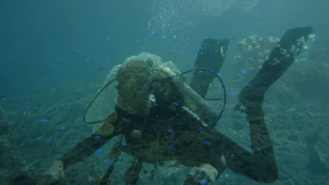 Дайвинг на Бали июнь 2016 год..mp4