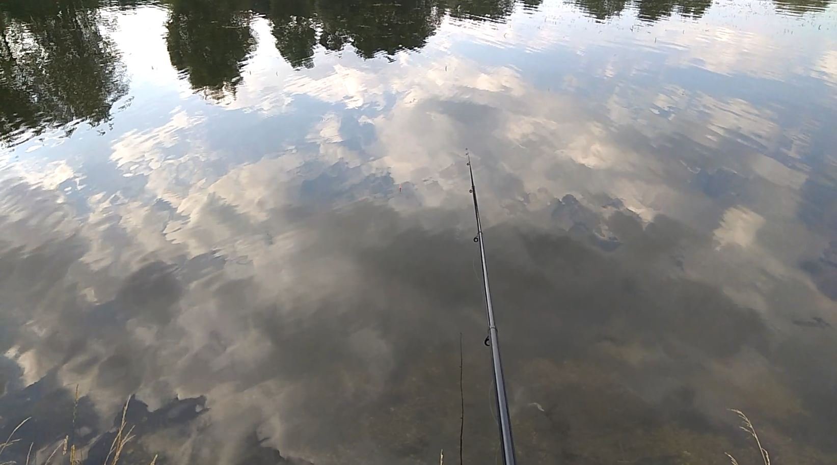 Восточный терлецкий пруд (26.07.2021)