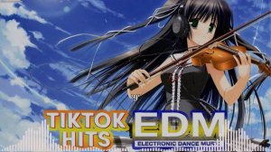 Violin Cover Top EDM TikTok Songs 2023 #91