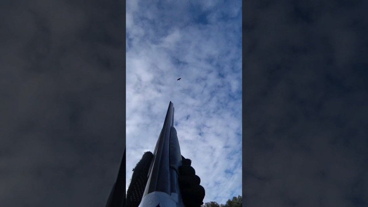 С Охоты На рыбалку на RUTUBE: 157 видео – смотреть онлайн и бесплатно ...