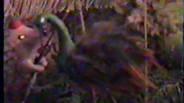 Кизляр.Новости Ноябрь 1995 г.