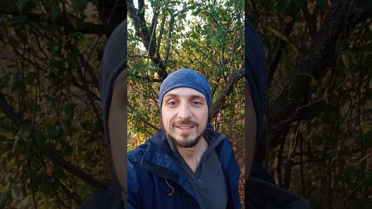 Твой путь у тебя под ногами - стих о жизни / Родион Правдухин #поэзия #саморазвитие #духовность