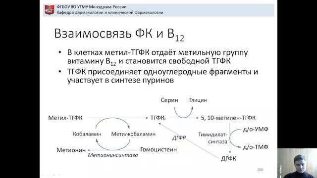 Лекция 10. Фолиевая кислота