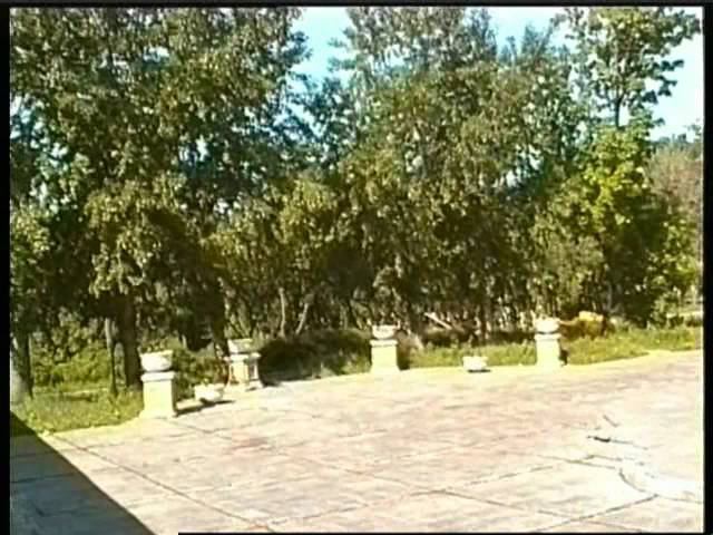 13 июня 1994 года. Прогулка в Царицыно.