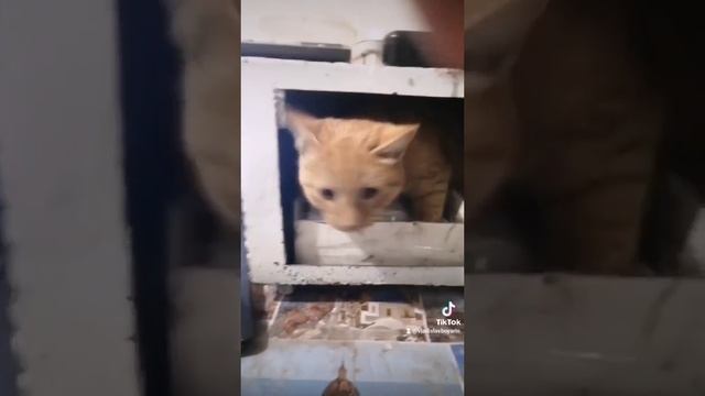 безопасность