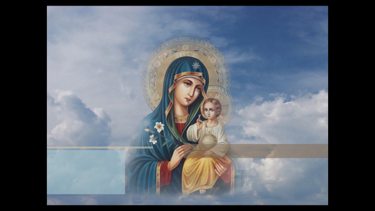 Буктрейлер  книги Ларисы Толкач "Я спорю с будущим"