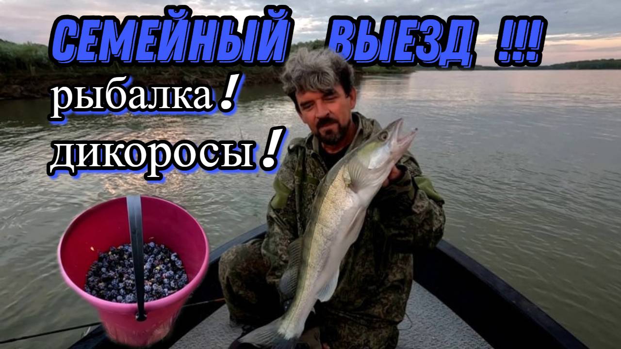 СЕМЕЙНЫЙ ВЫЕЗД !!! 27 августа 2024г. Рыбалка на Оби ! Сбор дикоросов !