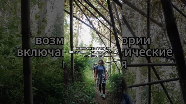 TГ - Фактория