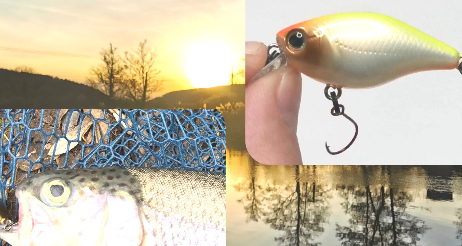 SPRO IKIRU MINI CRANK 38F Воблер для ловли форели и других хищников...