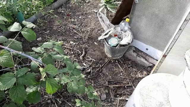 Прибираю огород болтаю с вами.avi