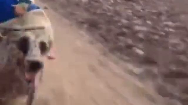 Хаха