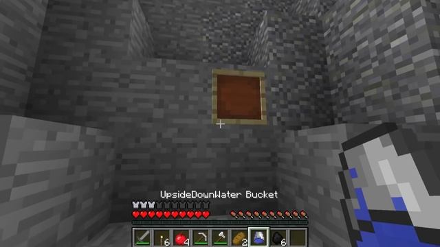 WTF Minecraft #1 | (Necomine)