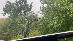 Autumn rain on the iron roof of a house in the Russian forest is the best way to fall asleep