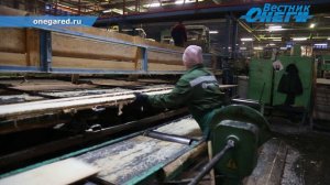 Ирина Шаповалова, Онежский ЛДК, Segezha Group (входит в АФК «Система»)