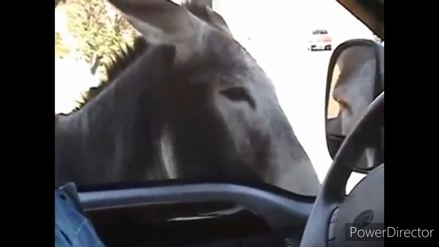 ПЕВЦЫ-АРТИСТЫ