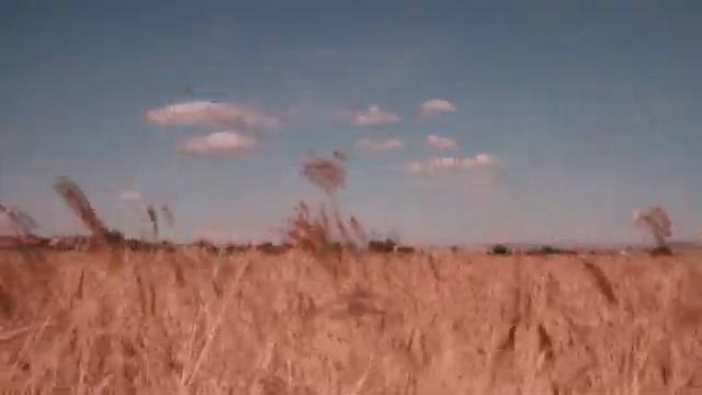 Сатурн в Деве